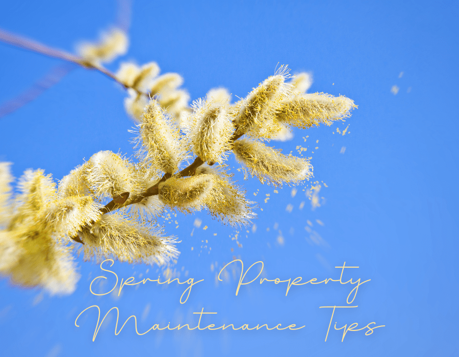Spring Property Maintenance Tips - DeWees Real Estate Group